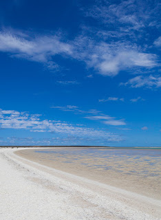 Shell Beach | Discovery Down Under