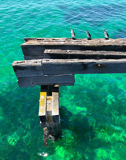 The Never Ending Jetty | Discovery Down Under