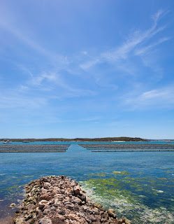 Coffin Bay | Discovery Down Under