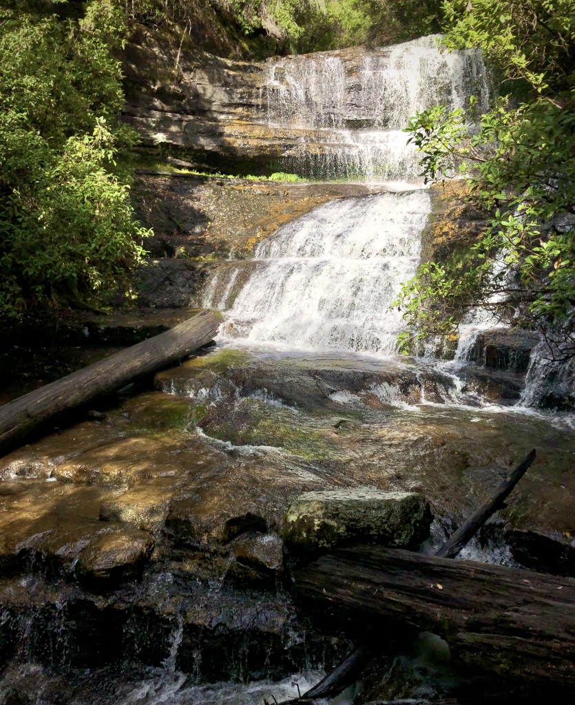 Mount Field National Park | Discovery Down Under