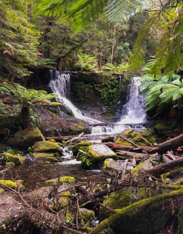 Mount Field National Park | Discovery Down Under