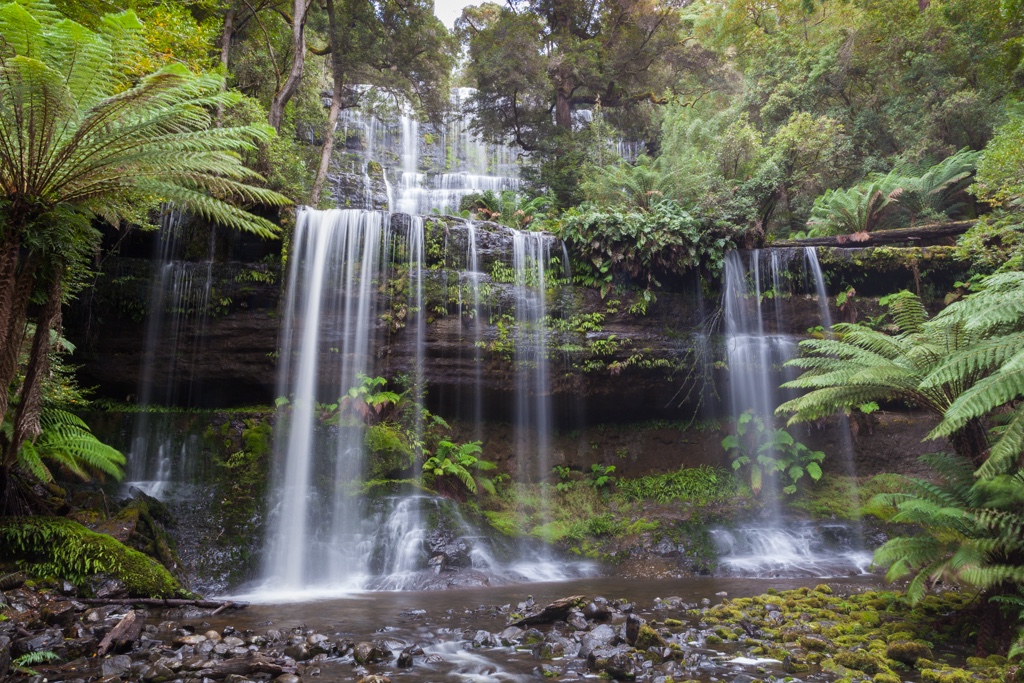 Mount Field National Park | Discovery Down Under