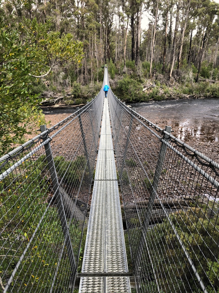 Tahune Adventures AirWalk | Discovery Down Under