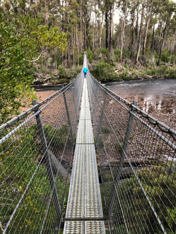 Tahune Adventures AirWalk | Discovery Down Under