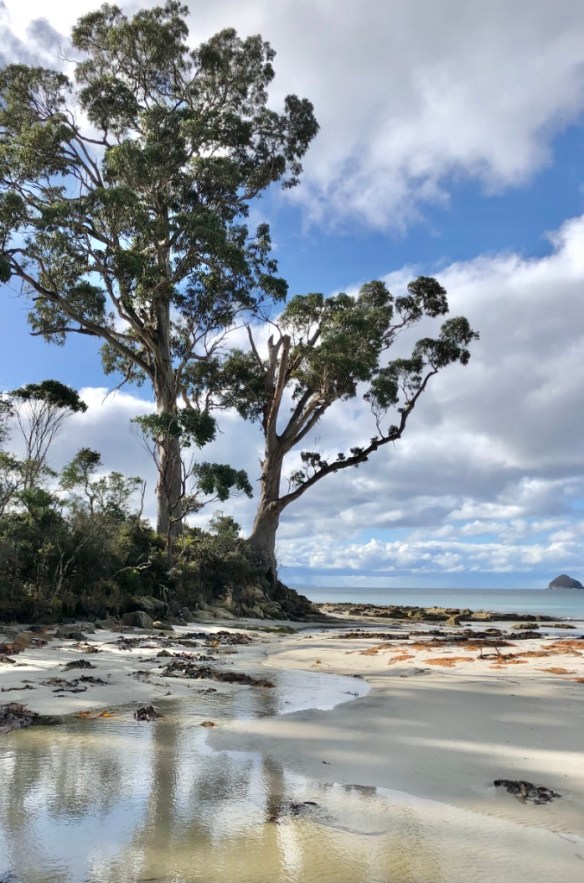 Bruny Island | Discovery Down Under