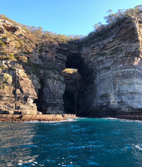 Tasman Peninsula Wilderness Cruise | Discovery Down Under