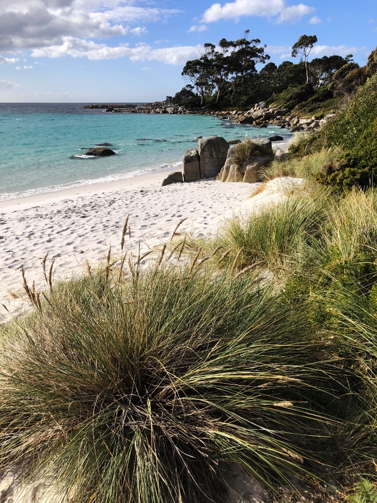 Bay of Fires | Discovery Down Under