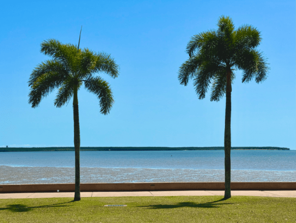 Cairns – a City in a garden | Discovery Down Under