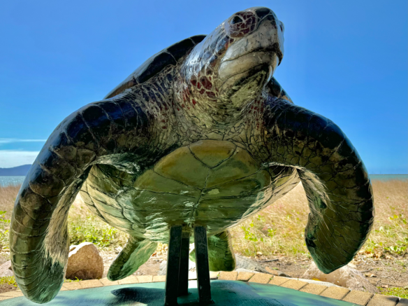 Townsville | Discovery Down Under