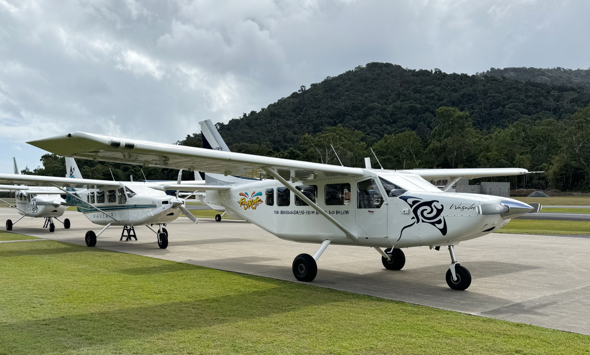 wasabi | Discovery Down Under